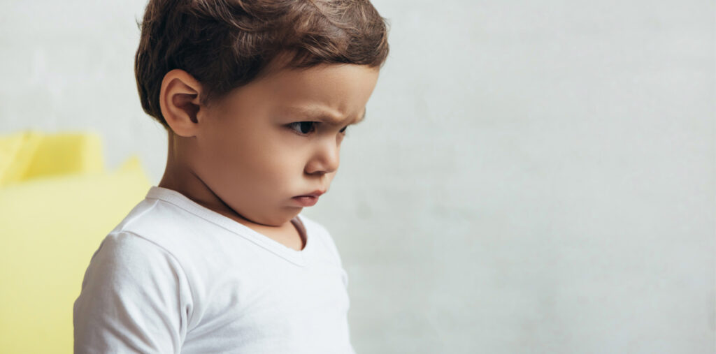 The Calming System – How It Works – Oregon Kid