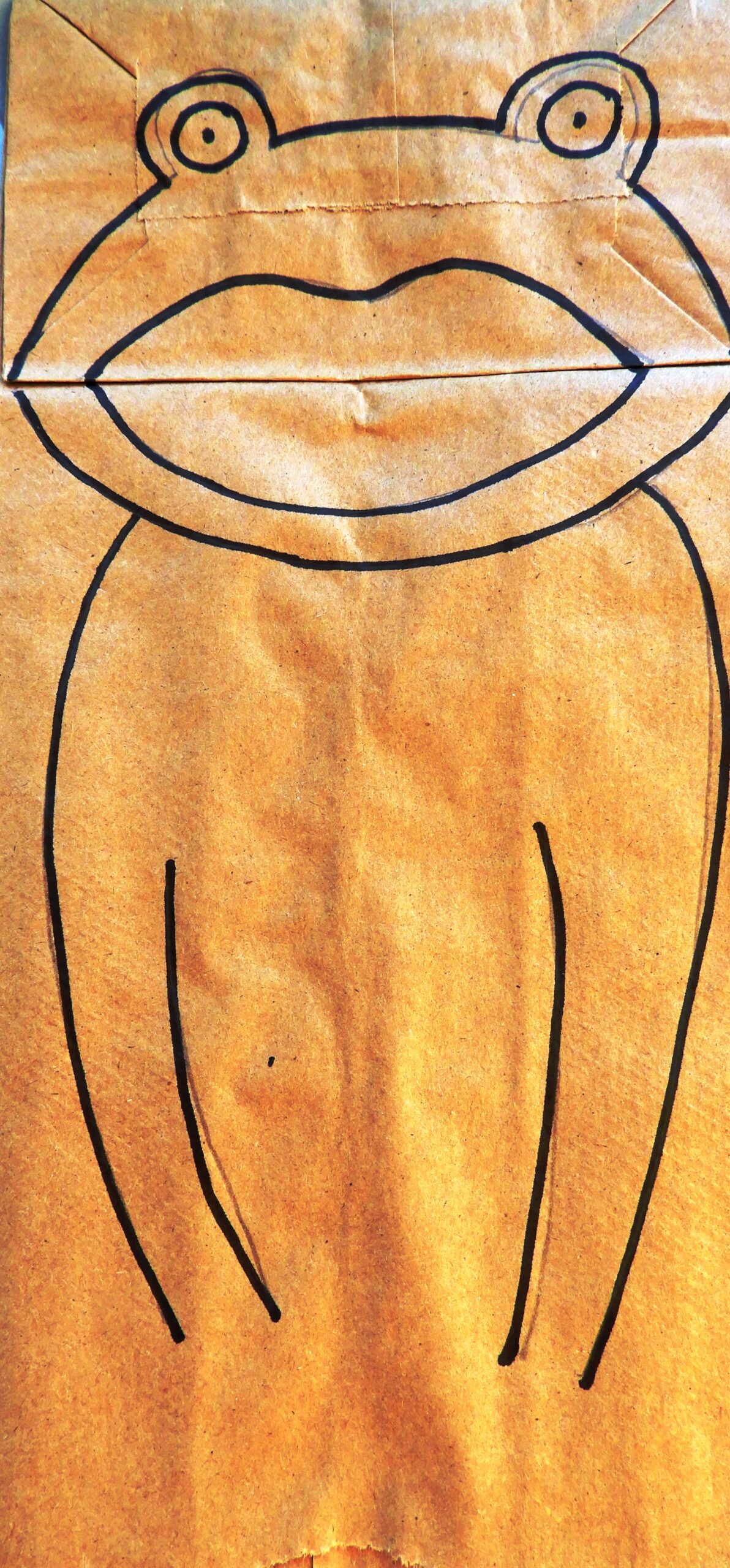 Art For Everyone! – Creating Paper Bag Frog Puppets – Oregon Kid