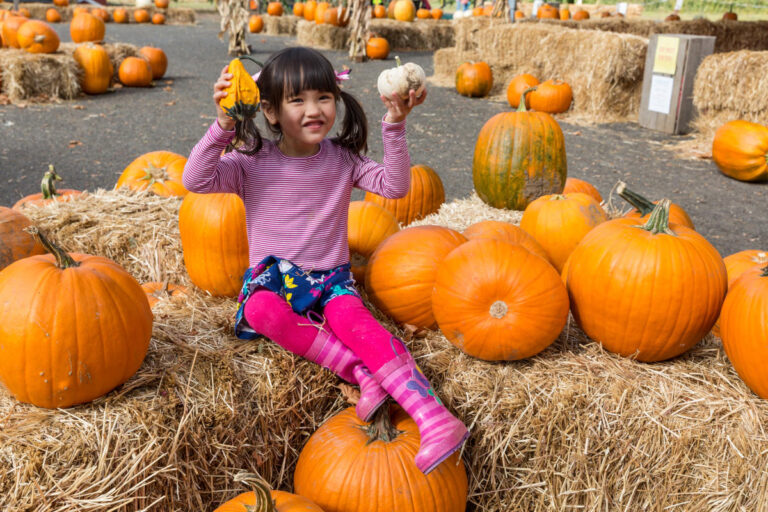 How To Find The Perfect Pumpkin At The Patch – Oregon Kid