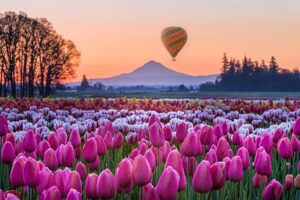 The Best Places To See Flowers In Oregon This Spring – Oregon Kid