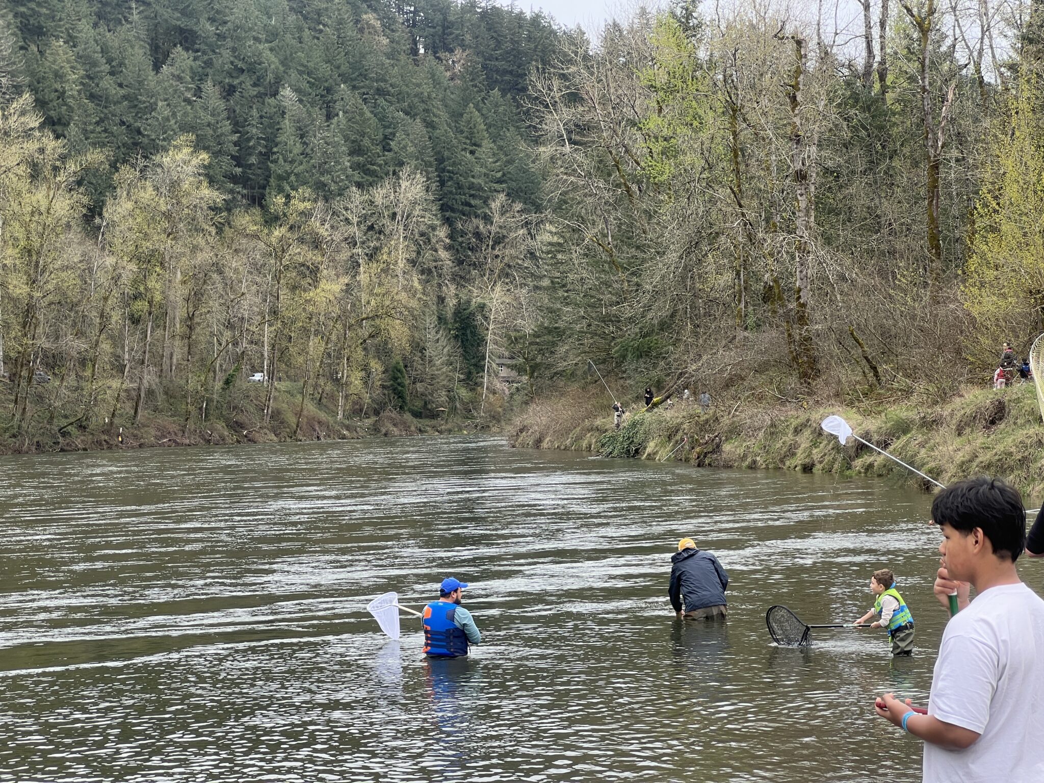 A River Runs Silver – Thousands Celebrate Rare Smelt Season On Oregon’s ...