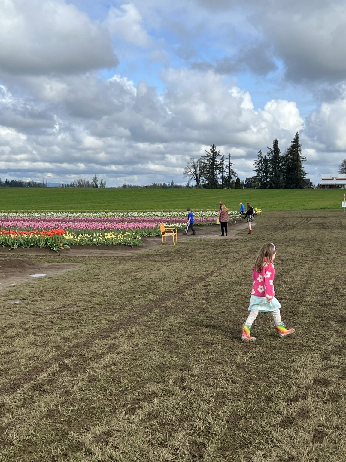 Bloom Into Spring – Why The Wooden Shoe Tulip Festival Is Oregon’s Must ...