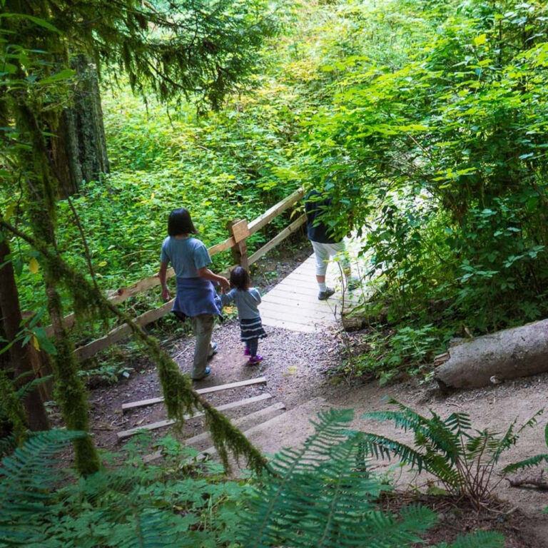 Why You Should Take Your Family To Tryon Creek State Park – Oregon Kid